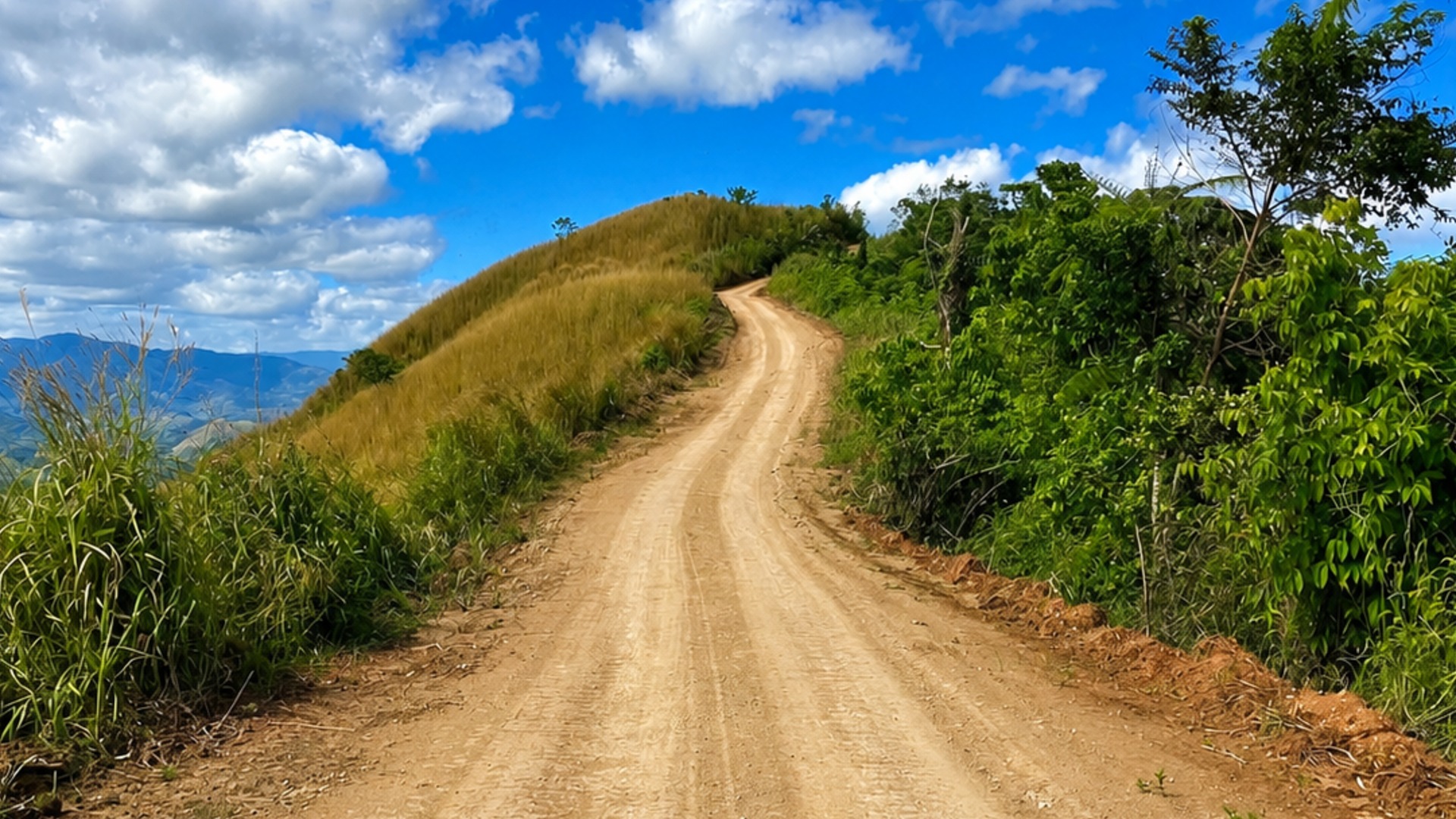 New roads in Navosa cut travel time and improve access to essential ...