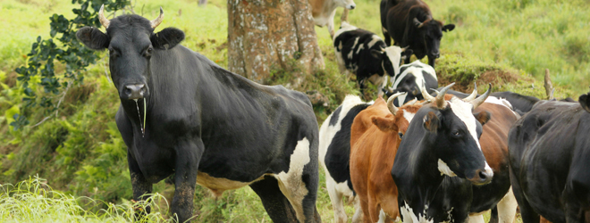 Fijivillage | Fiji's Latest News and Sports website