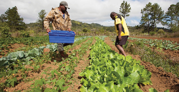 Fijivillage | Fiji's Latest News and Sports website