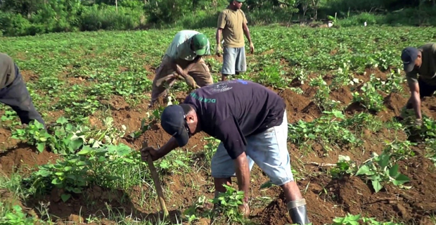 Fijivillage | Fiji's Latest News and Sports website